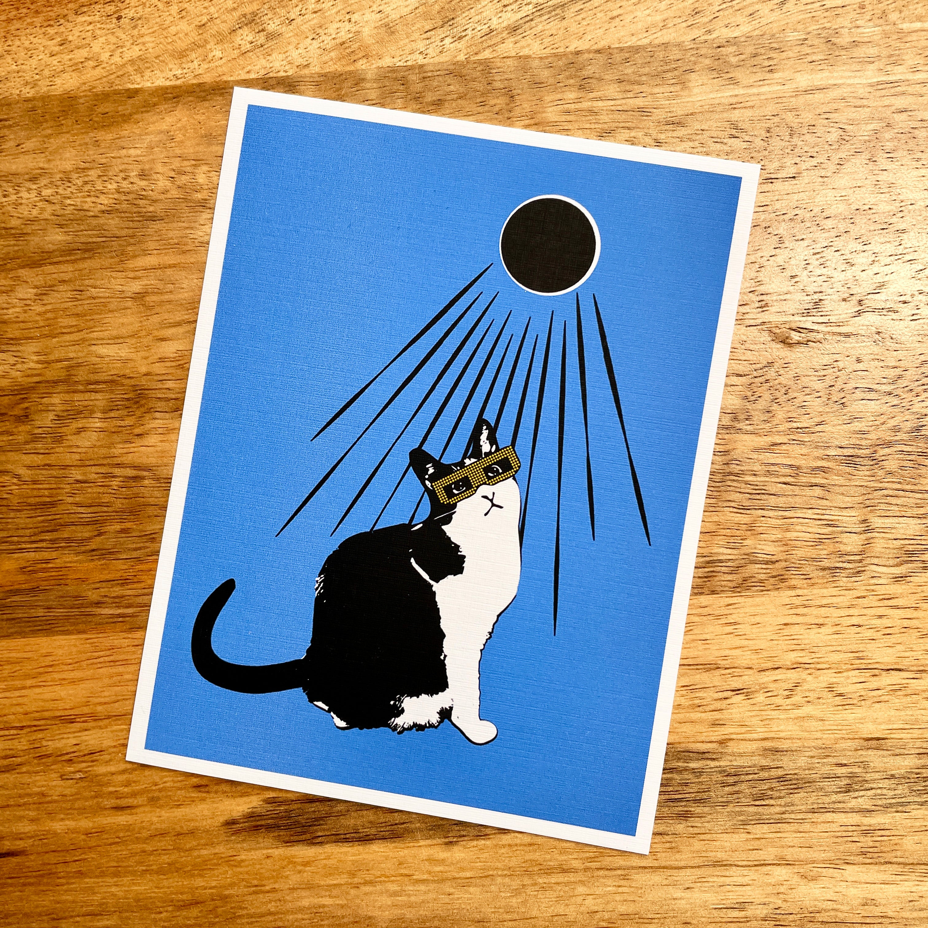 Eclipse Cat 2024 Solar Eclipse "half card" postcard – Colossal Sanders