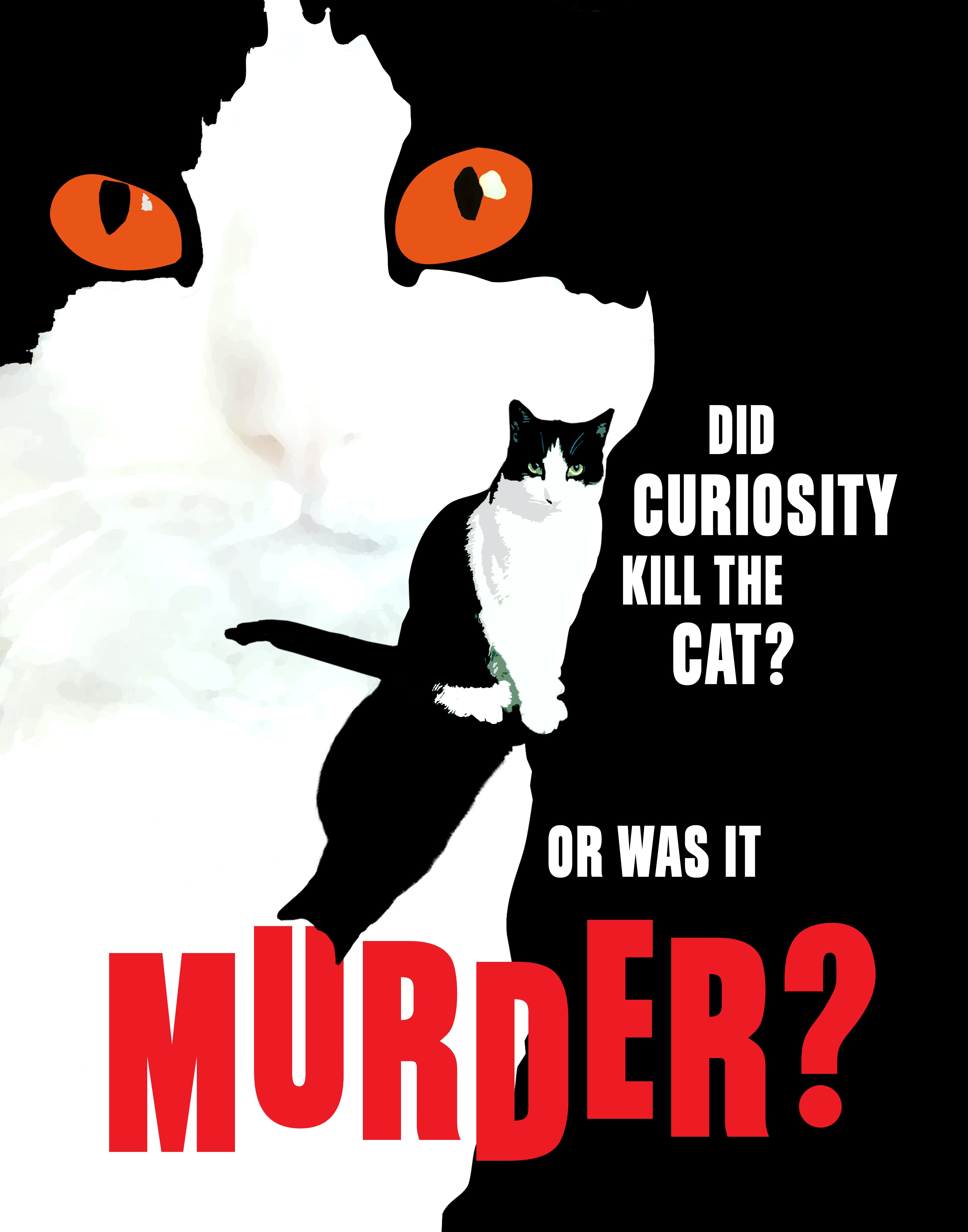 Curiosity or Murder funny quirky cat art print – Colossal Sanders