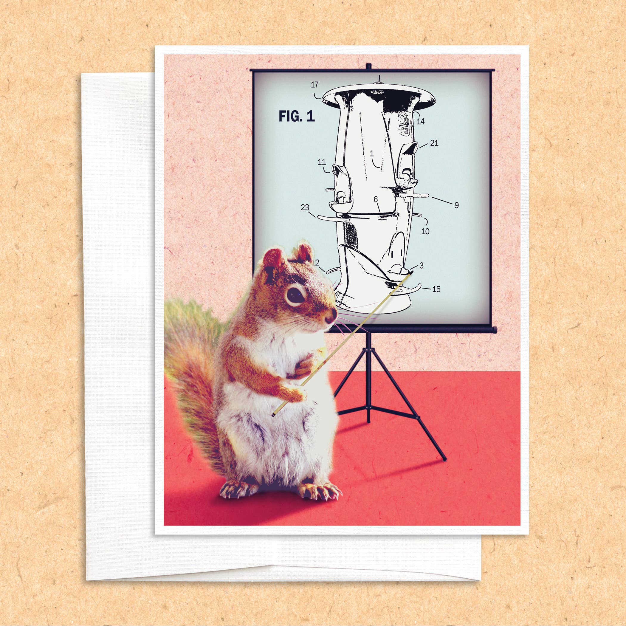 Squirrel/Birdfeeder 101 funny bird greeting card – Colossal Sanders